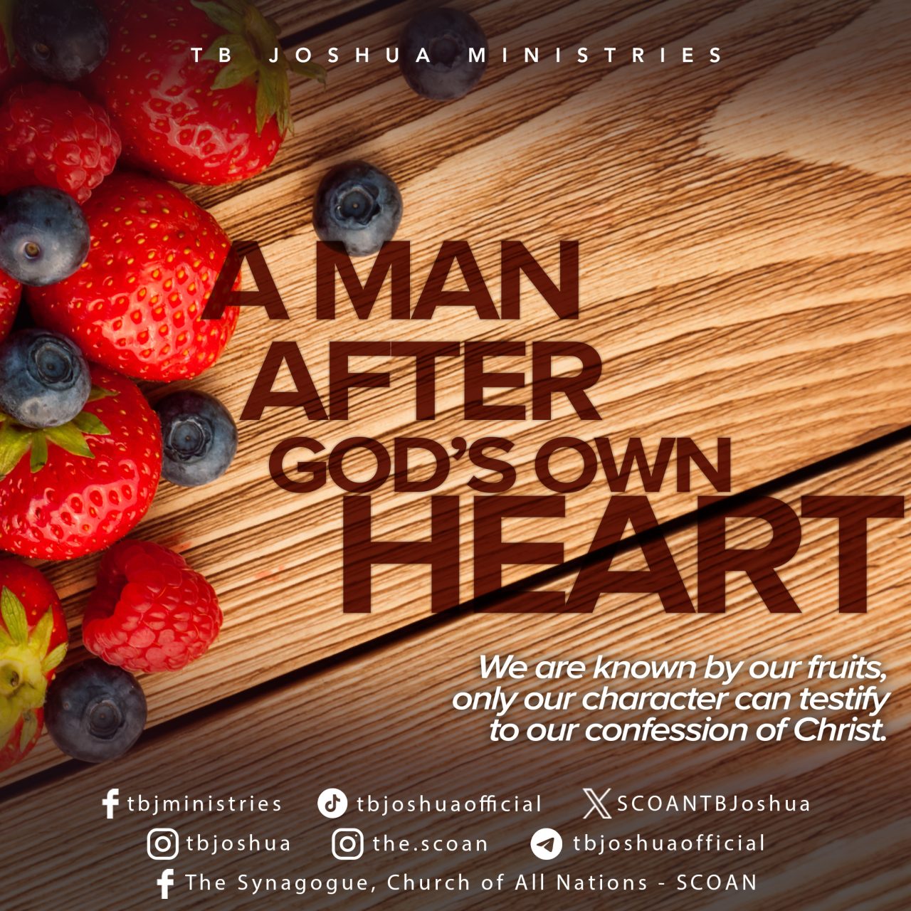 A MAN AFTER GOD’S OWN HEART - The Synagogue, Church Of All Nations ...
