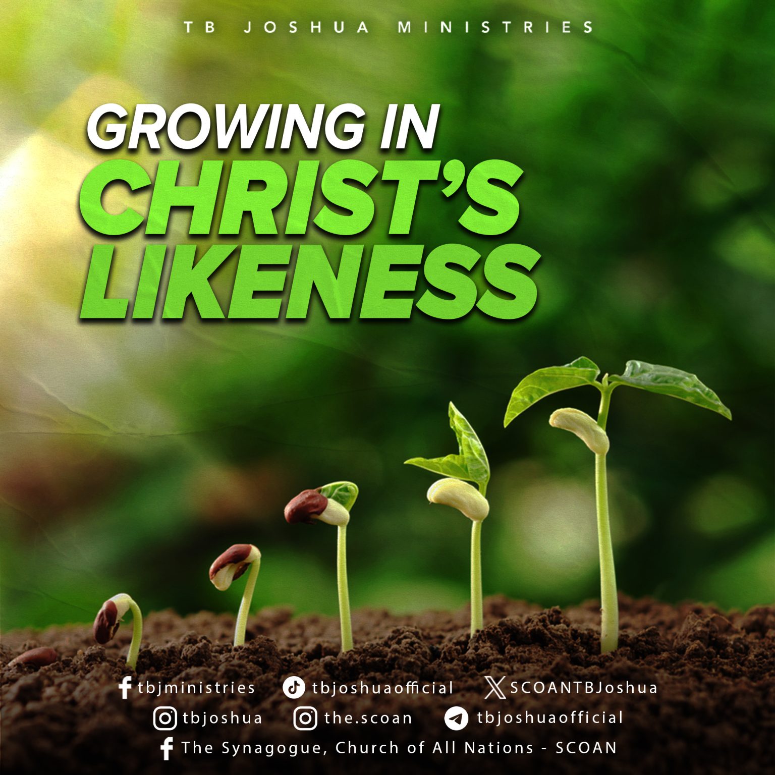 Growing in Christ's likeness - The Synagogue, Church Of All Nations ...